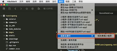 uniapp自定义条件编译 菜菜 博客园
