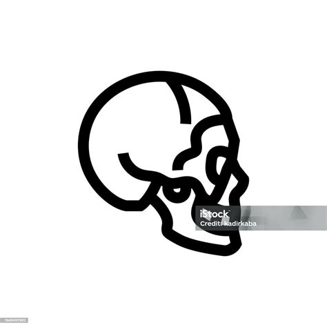 해골 라인 아이콘 디자인 픽셀 퍼펙트 편집 가능한 스트로크 로고 기호 기호 인간 장기 일러스트레이션에 대한 스톡 벡터 아트 및