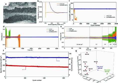 Platingstripping Behavior Of Lithium Anode And Electrochemical