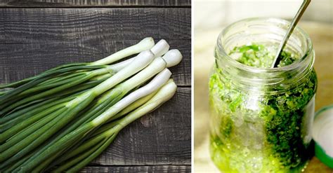 Унікальна заготівля зеленої цибулі на зиму цибуля стане дефіцитом коли всі дізнаються цей