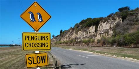 Microsoft Owned Github Open Source Needs Funding Ya Think