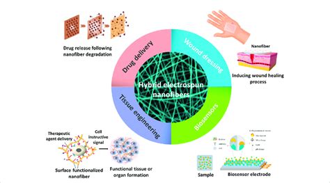 Various Applications Of Hybrid Electrospun Nanofibers In Biomedical Field Download Scientific