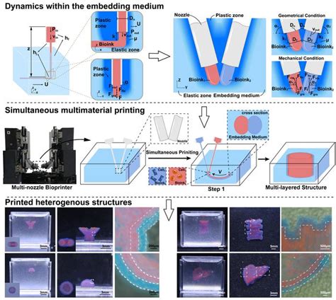 Simultaneous Multi Material Em Image Eurekalert Science News Releases