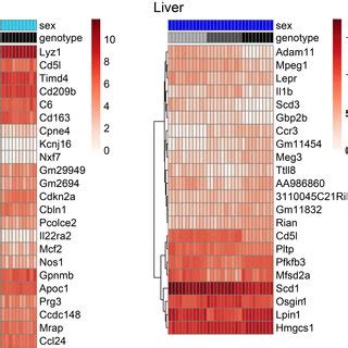 Hierarchical Clustering Of Normalized Transform Gene Expression