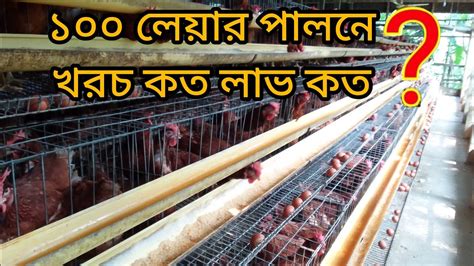১০০ লেয়ার মুরগি পালনে কত টাকা খরচ হবে কত টাকা লাভ হবে লেয়ার পালন Youtube