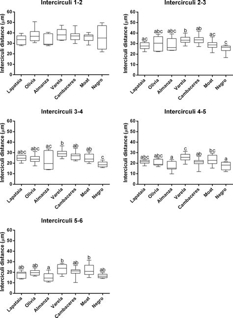 Boxplots Representing Intercirculi Distances For Each Circulus Pair Download Scientific Diagram
