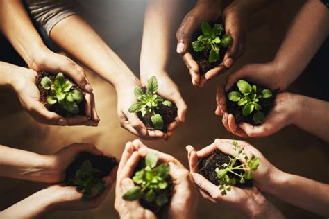 How Technology Driven Sustainability And Csr Will Shape The Future Of
