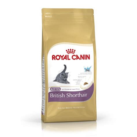 Royal Canin Feline Kitten British Shorthair | 400g Katzenfutter ...