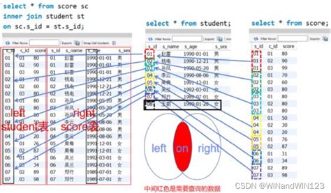 【sql的四大连接】sql 连接 Csdn博客