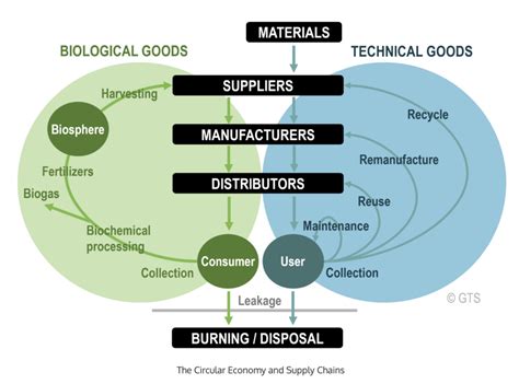 building your sustainable supply chain