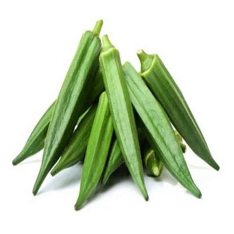 Elongate Lady Finger At Best Price In Tiruvannamalai Tamil Nadu Shoba Dairy Farm