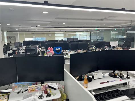 점핏 웹 서비스 개발 및 유지보수 업무