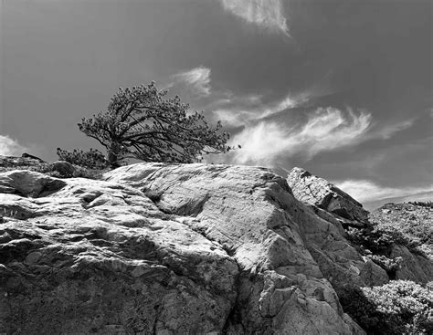 Transposing Montréal Serai