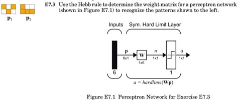 Solved E73 Using The Hebb Rule To Determine The Weight Matrix For A
