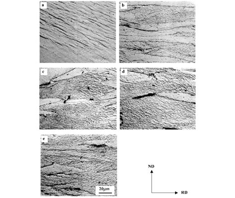 Typical Deformation Microstructures Produced By Rolling At 640°c A Download Scientific