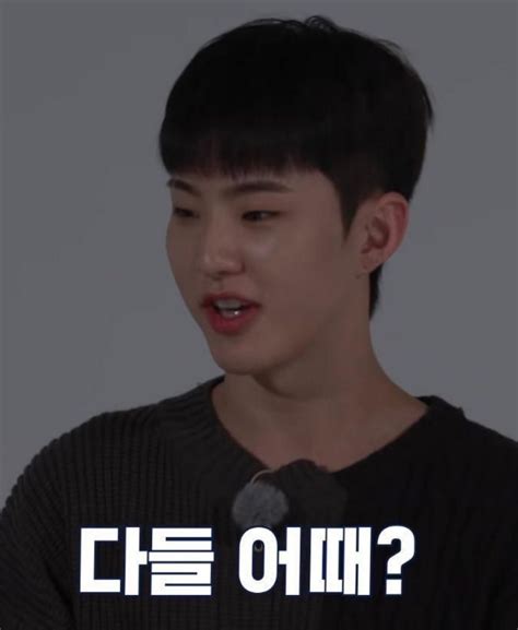 blip 고잉세븐틴 짤 모음 zip