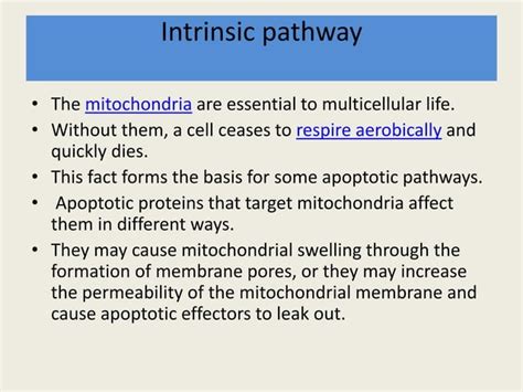 Intrinsic And Extrinsic Pathway Of Apoptosis Pptx Biological