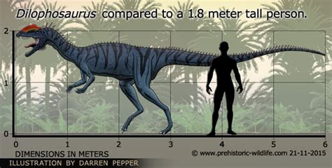Dilophosaurus