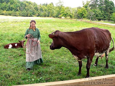 ගවයාගේ නවාතැන මගේ විජේරාමේ හරක් සෙට් 1ක