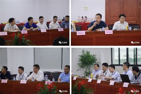 敏实秦千雅图片嘉兴敏实集团宿舍图片大山谷图库