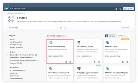 Sap Btp Cloud Foundry Runtime