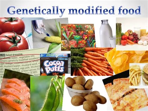 Ppt Genetically Modified Food Powerpoint Presentation Free Download