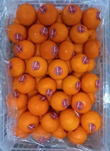 A Grade China Mandarin Orange Packaging Size 7 Packaging Type Carton At Rs 1000 Carat In