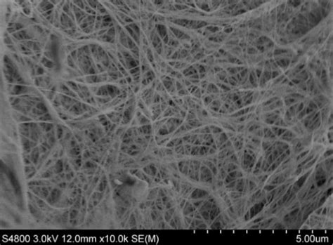 Bacterial Cellulose Bc Tem 2 Cellulose Lab Leading Supplier Of