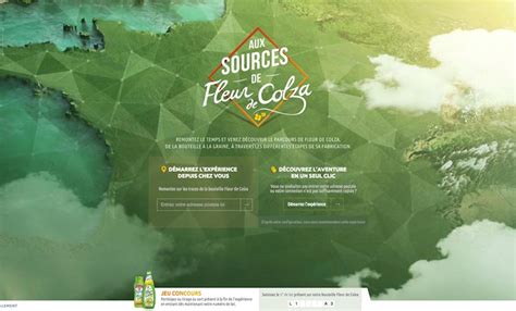 Aux Sources De Fleur De Colza Css Design Awards