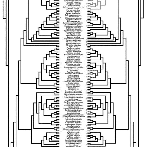 Extracted Ion Chromatogram Eic Of Liquid Chromatography Mass Download Scientific Diagram