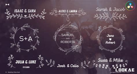 Nuke Vegas 达芬奇 Scratch视频延时闪屏去闪烁插件 Flicker Free Ofx V2 2 1 Ce Win