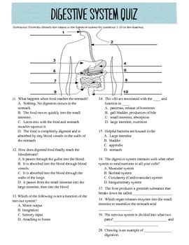 40 Labeling Digestive System Quiz