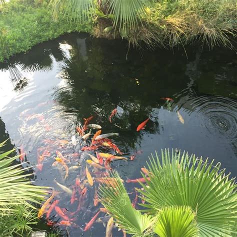Храм “Св Николай Мирликийски Чудотворец” гр Пловдив Апостолско четиво † 10 Неделя след