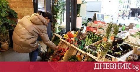 Великобритания въвежда нови гранични проверки за вноса на храни от ЕС Дневник