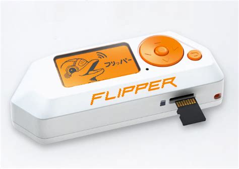 Flipper Zero Microsoft Project Based Learning Program Cci Virginia