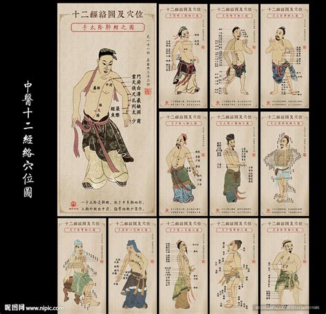 中医 十二经络设计图 广告设计 广告设计 设计图库 昵图网
