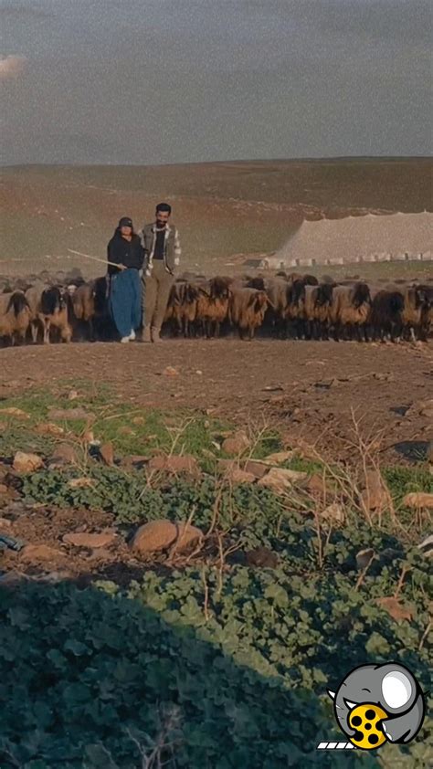 فیلم عاشقانه کوردی فیلو