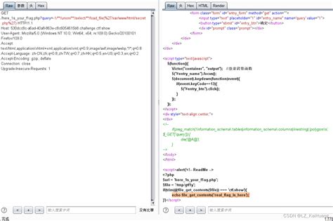 ctf show web web11 web14 ctfshowweb11 CSDN博客