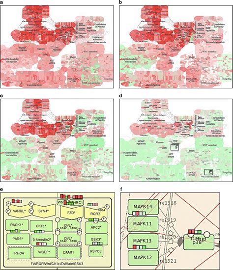 Bc Gene Expression Data Integration And Analysis Using Acsn The Mrna