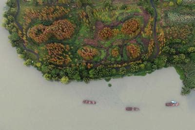 江苏扬州生态湿地 秋色如画 人民图片网