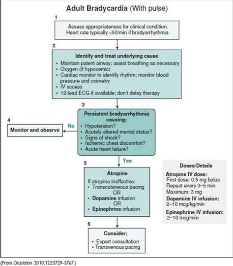 Acls Algorithms Pocket Obstetrics And Gynecology