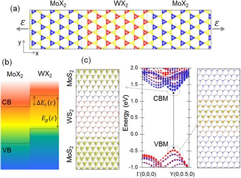 Strain Engineered Optoelectronic Properties Of 2d Transition Metal Dichalcogenide Lateral