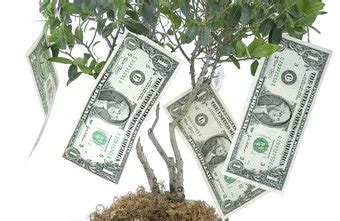 Differences And Similarities Of Capital And Operational Budgeting