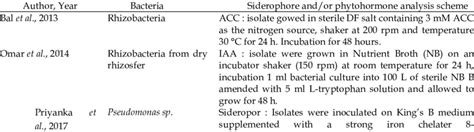 Isolation Of Rhizobacteria Producing Siderophore And Phytohormones Download Scientific Diagram