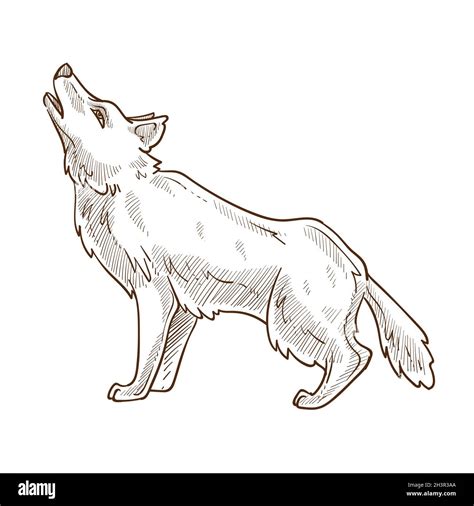 How To Draw Wolf Howling At Moon