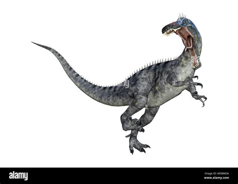 3d Rendering Of A Dinosaur Suchomimus Or Suchomimus Tenerensis Isolated