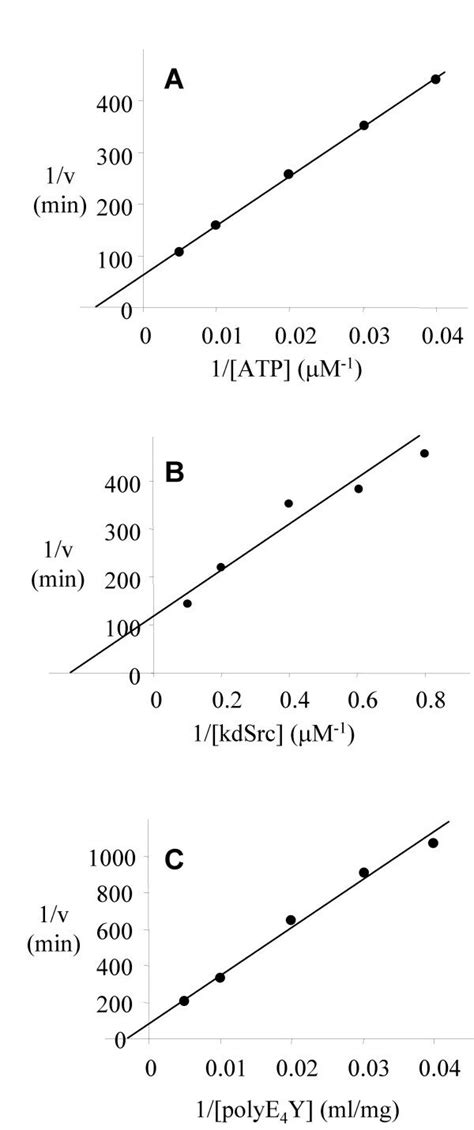 Kinetic Analysis Of Asn319ser Double Reciprocal Plots Of Asn319ser Download Scientific
