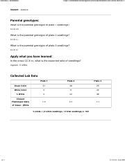 Lab Mendelian Genetics Pdf Laboratory Simulation Of Https Vlsimulation Learningtools Prod