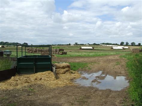 Pig Farming © Keith Evans Cc By Sa20 Geograph Britain And Ireland