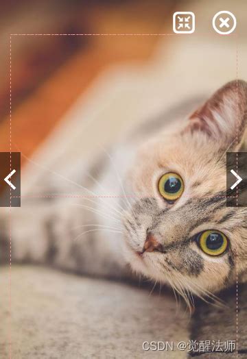 Jquery实现响应式瀑布流 实现灯箱效果jquery 瀑布流 Csdn博客 Jquery实现响应式瀑布流 实现灯箱效果jquery 瀑布流 Csdn博客